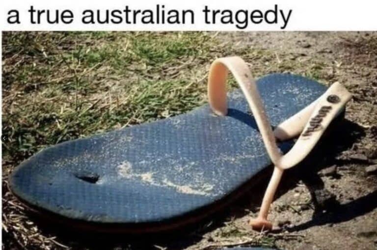 38 Australian Memes With That Special Down Under Humor