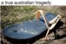 38 Australian Memes With That Special Down Under Humor