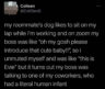 50+ Awkwardly Hilarious Conversations To Make You Laugh And Cringe At ...