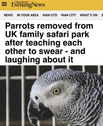 36 Examples Of British Humor Filled With Dry Wit And Cheeky Jabs