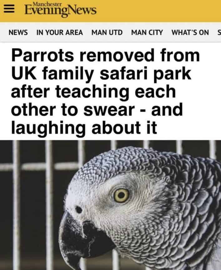36 Examples Of British Humor Filled With Dry Wit And Cheeky Jabs