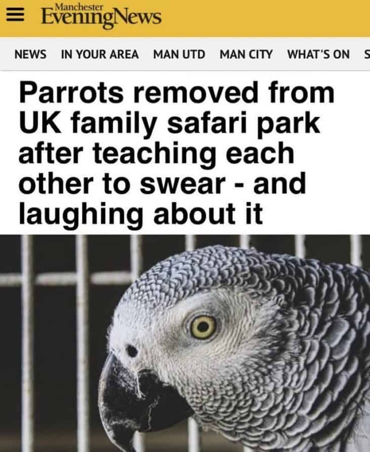 36 Examples Of British Humor Filled With Dry Wit And Cheeky Jabs