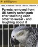 36 Examples Of British Humor Filled With Dry Wit And Cheeky Jabs