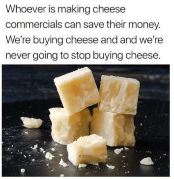 40 Funny Cheese Memes You Don't Need Lactaid To Enjoy