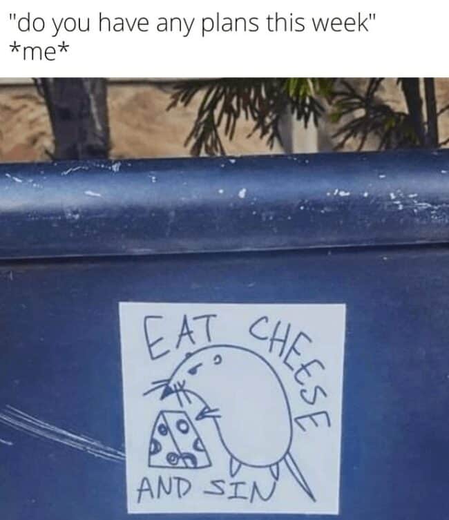 40 Funny Cheese Memes You Don't Need Lactaid To Enjoy