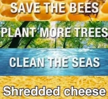 40 Funny Cheese Memes You Don't Need Lactaid To Enjoy