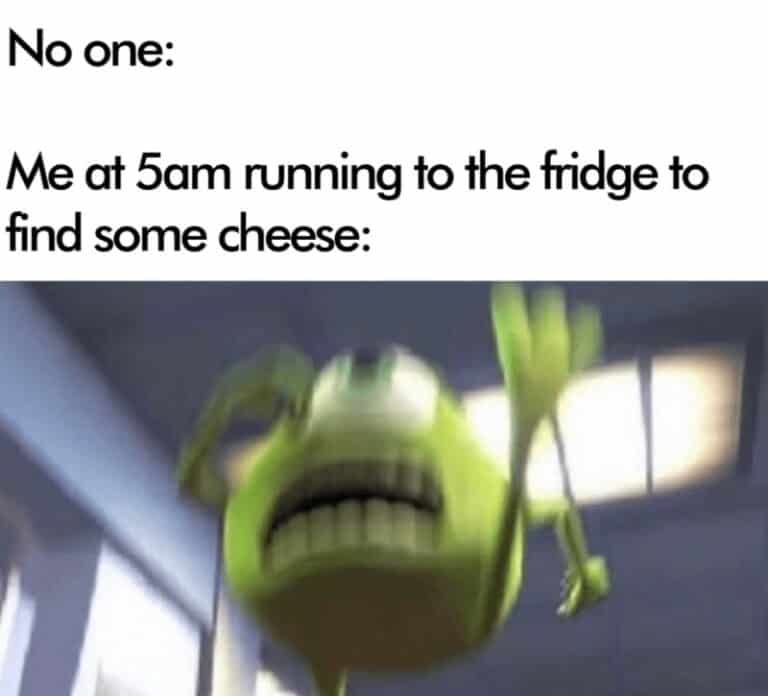 40 Funny Cheese Memes You Don't Need Lactaid To Enjoy