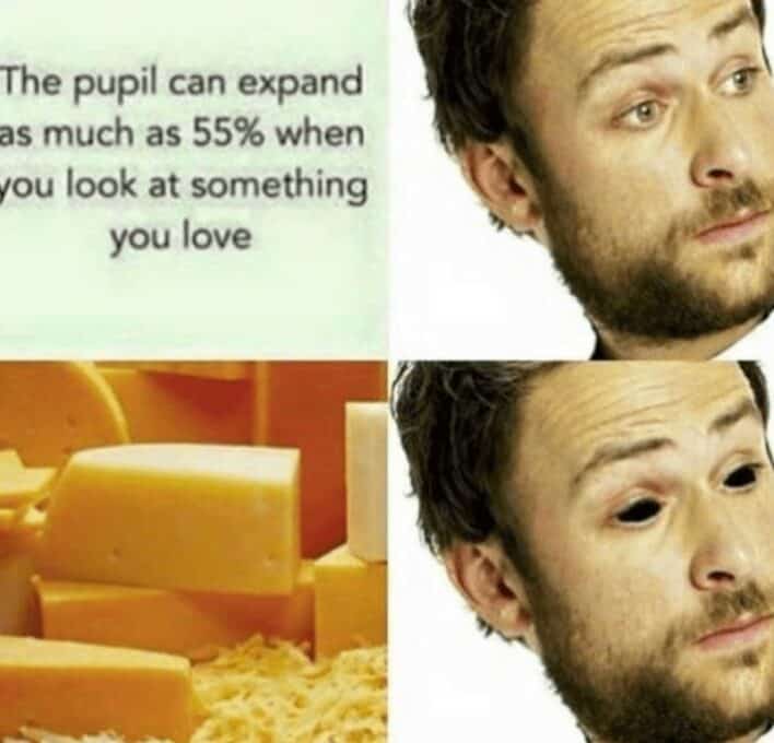 40 Funny Cheese Memes You Don't Need Lactaid To Enjoy