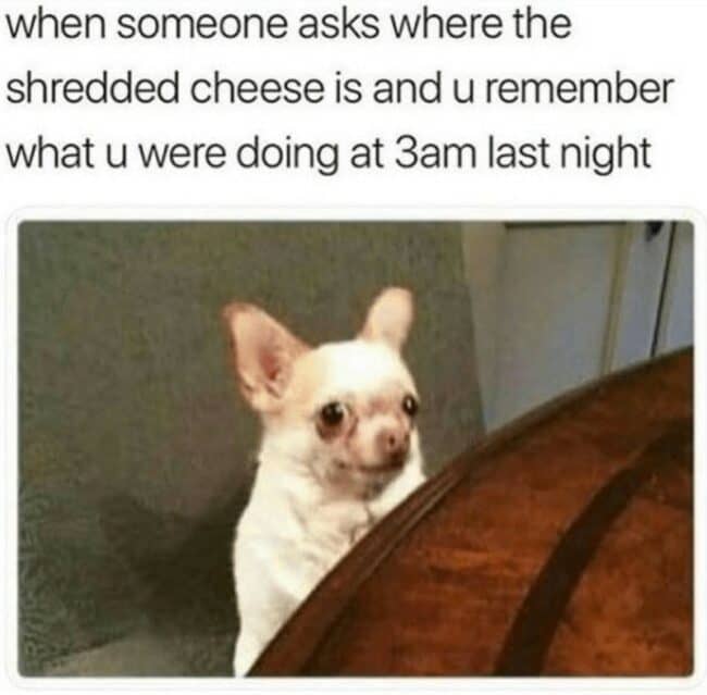 40 Funny Cheese Memes You Don't Need Lactaid To Enjoy