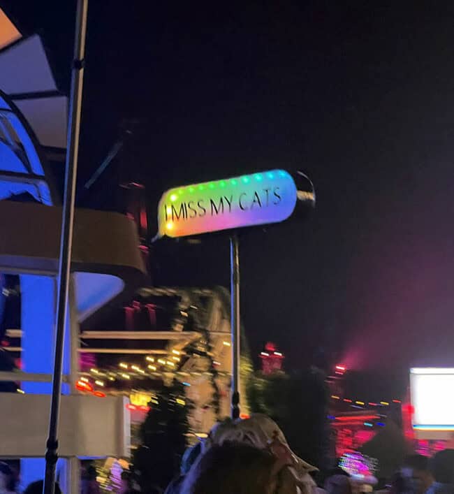 40 Funny Concert Signs From Clever And Creative Fans