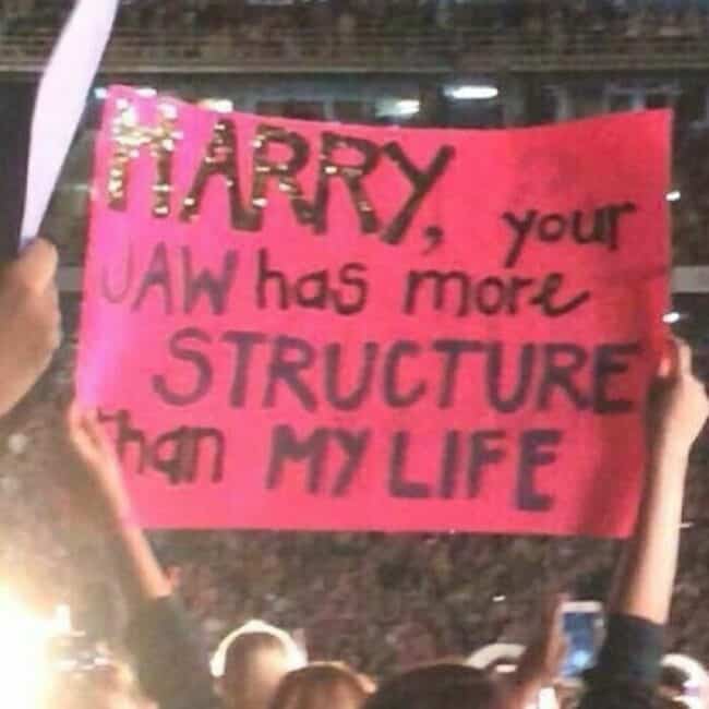 40 Funny Concert Signs From Clever And Creative Fans