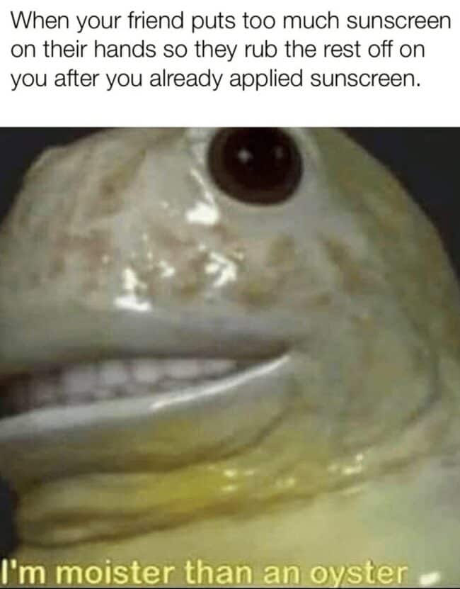 45 Funny Fishing Memes For Fishermen Who Keep It Reel