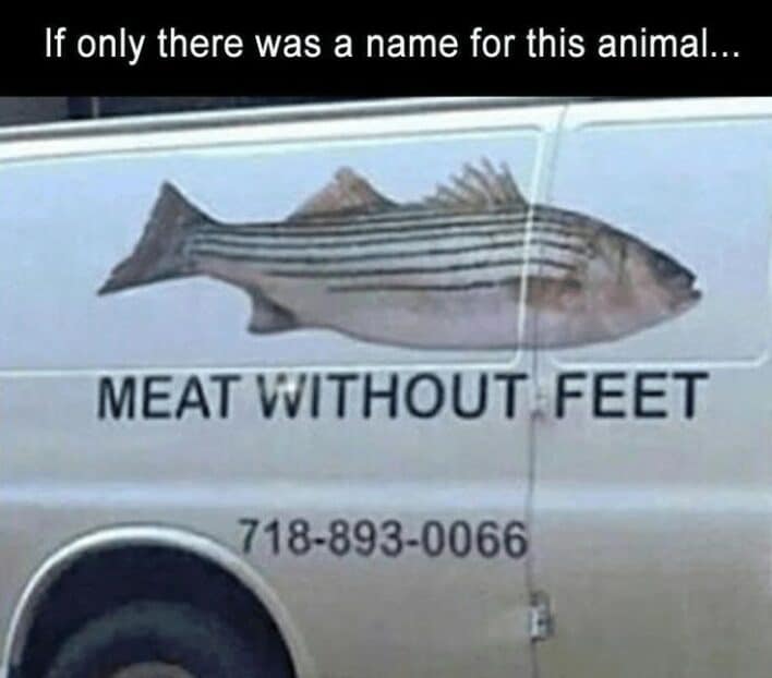 45 Funny Fishing Memes For Fishermen Who Keep It Reel
