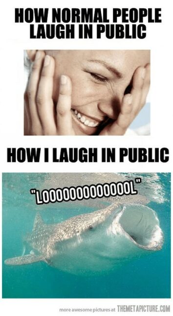 45 Funny Fishing Memes For Fishermen Who Keep It Reel