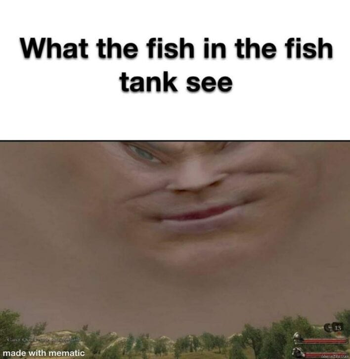 45 Funny Fishing Memes For Fishermen Who Keep It Reel