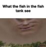 45 Funny Fishing Memes For Fishermen Who Keep It Reel