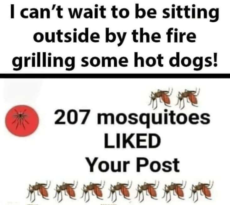 40 Funny Nature Memes As Fresh As That Mountain Air (June 27, 2024)