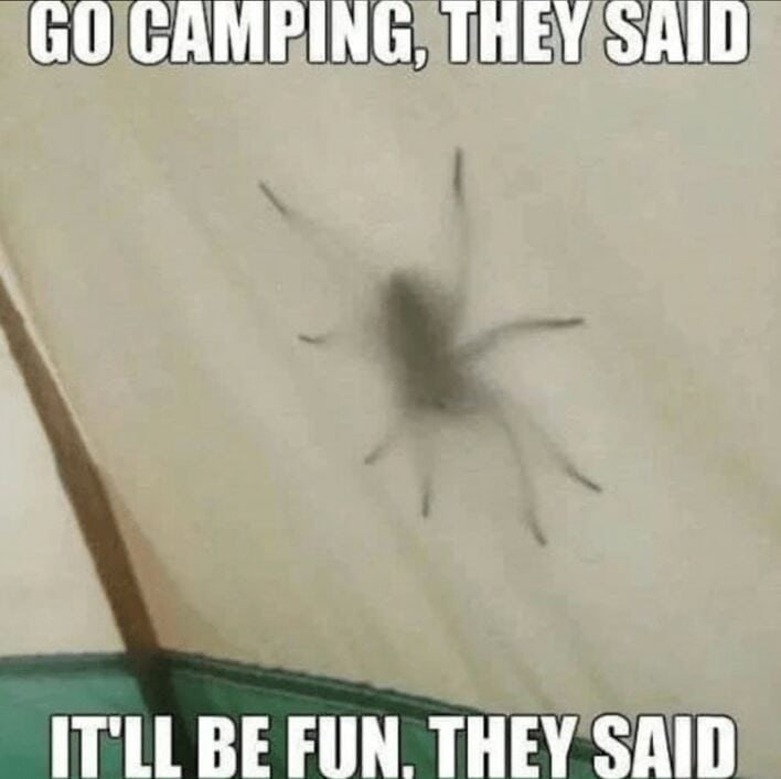 40 Funny Nature Memes As Fresh As That Mountain Air (June 27, 2024)