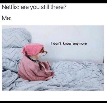 40 Funny Netflix Memes That Will Make You Forget To Hit “Skip Intro ...