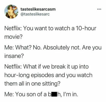 40 Funny Netflix Memes That Will Make You Forget To Hit “Skip Intro ...