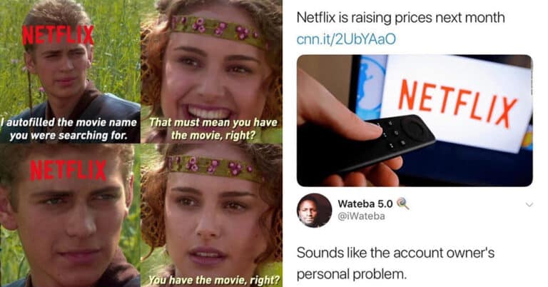 40 Funny Netflix Memes That Will Make You Forget To Hit “Skip Intro ...
