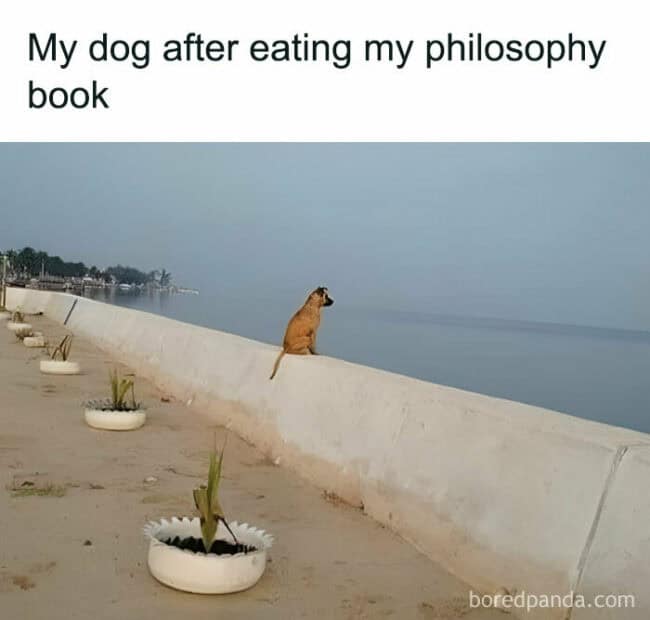 40 Funny Philosophy Memes From "Disturbing Book Club" That Will Make ...