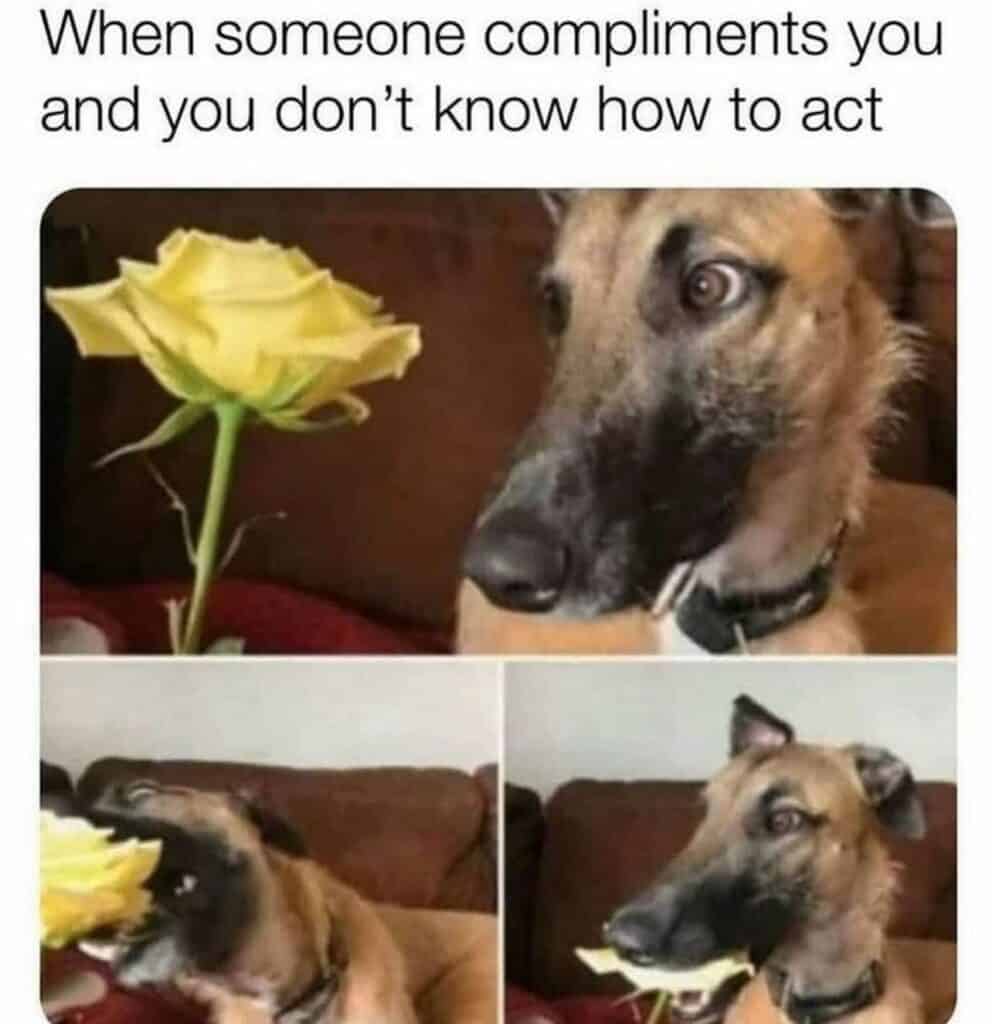 40 Funny Philosophy Memes From "Disturbing Book Club" That Will Make ...