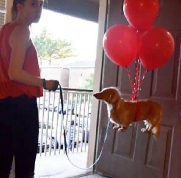 45 Funny Pictures Presented Without Context And That's What Makes Them ...
