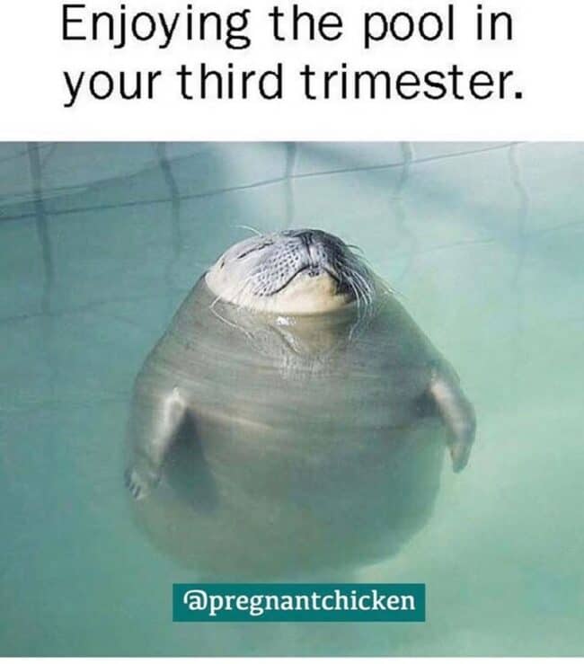 40 Funny Pregnancy Memes Anyone Who's Squeezed Out A Baby Can Relate To