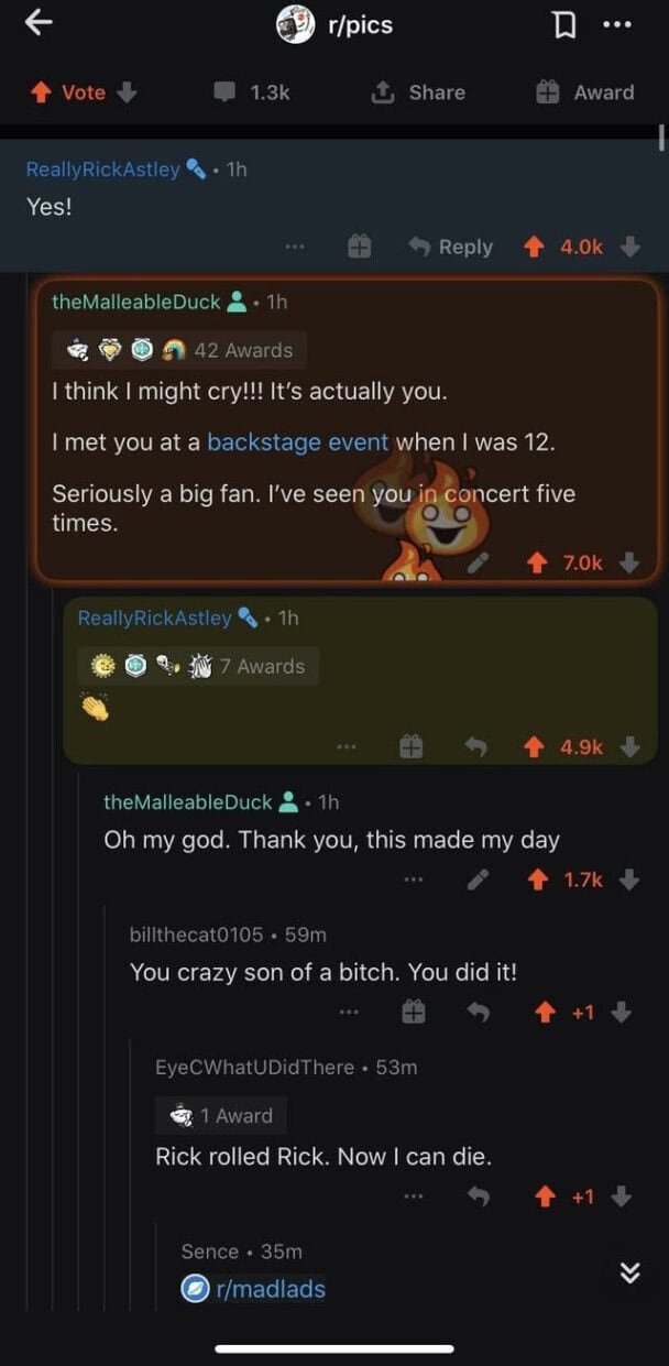 20+ Ridiculously Funny Reddit Comments That'll Have You Laughing So ...