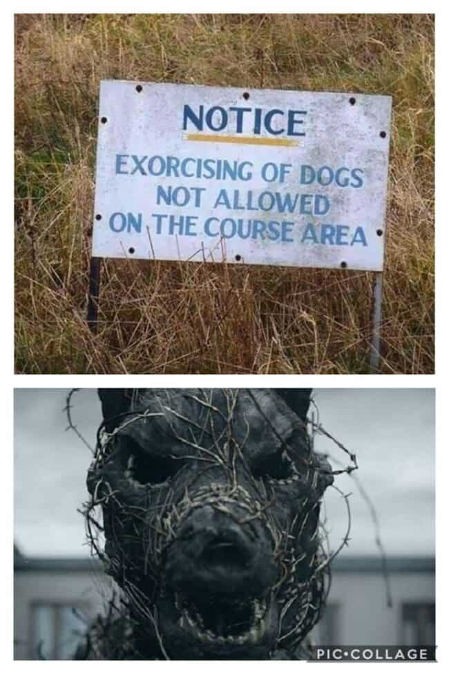 45 Funny Spelling Mistakes From People Spellcheck Can't Even Help