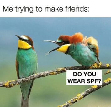 35 Funny Sunburn Memes That'll Have You Reaching For The Sunscreen ...