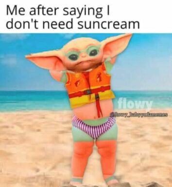 35 Funny Sunburn Memes That'll Have You Reaching For The Sunscreen ...