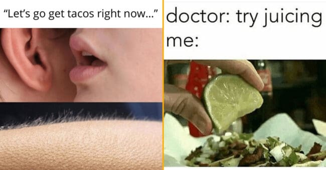 40 Funny Taco Memes To Fill Your Shell With Laughter (June 13, 2024)