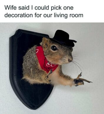 55 Funny Thrift Shop Memes And Finds From “Ridiculous Thrifter”