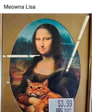 55 Funny Thrift Shop Memes And Finds From “Ridiculous Thrifter”