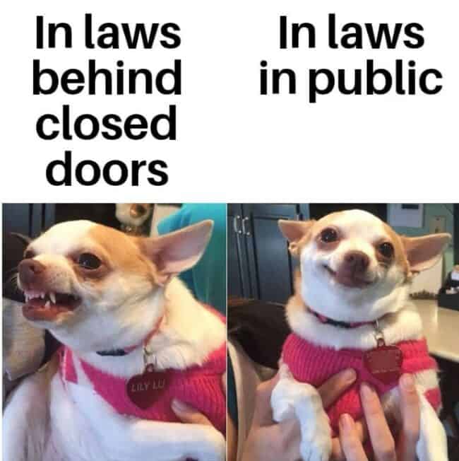 41 Funny Wedding Memes To Make A Bride Laugh Her Veil Off