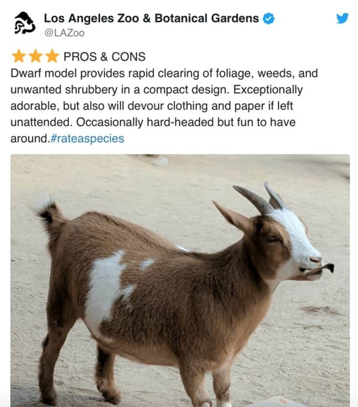 40 Funny Times Zoos Shared Hilariously Adorable Ratings Of Their Animals