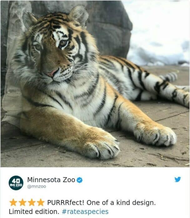 40 Funny Times Zoos Shared Hilariously Adorable Ratings Of Their Animals