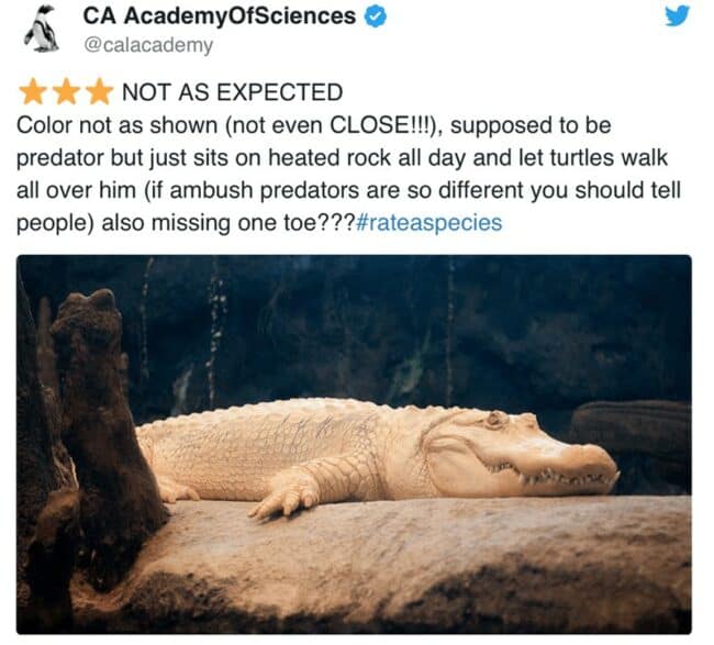 40 Funny Times Zoos Shared Hilariously Adorable Ratings Of Their Animals