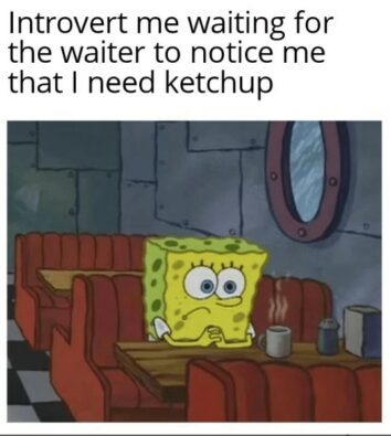 43 Introvert Memes For People You Can't FaceTime Without Warning