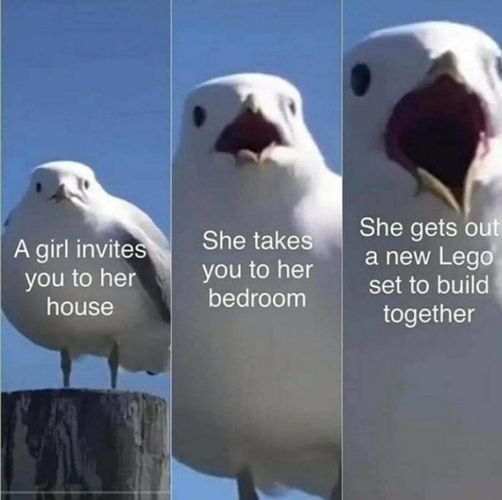 44 Lego Memes Bringing Out The Master Builder In Us All