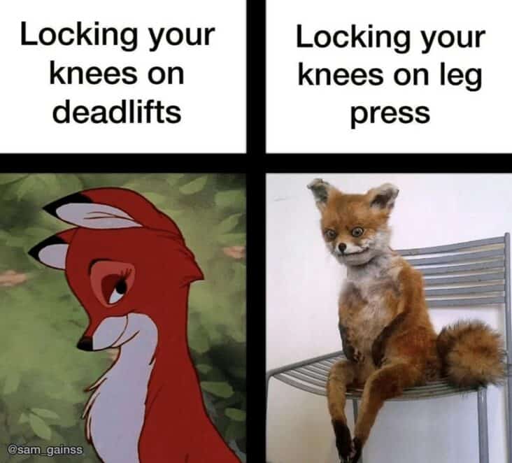 45 Funny Workout Memes For Fitness Freaks And Gym Rats (July 21, 2025)