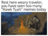 30 Funniest Hawk Tuah Memes That'll Make You Laugh So Hard You Spit On ...