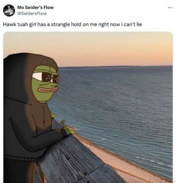 30 Funniest Hawk Tuah Memes That'll Make You Laugh So Hard You Spit On ...