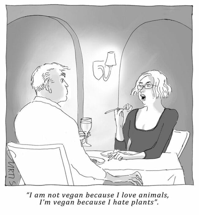 50 Funny One-Panel Comics From The Quirky Mind Of Artist Kate Curtis