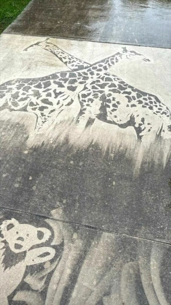 40+ Incredible "Pressure Washer" Artworks Featuring Famous Faces ...