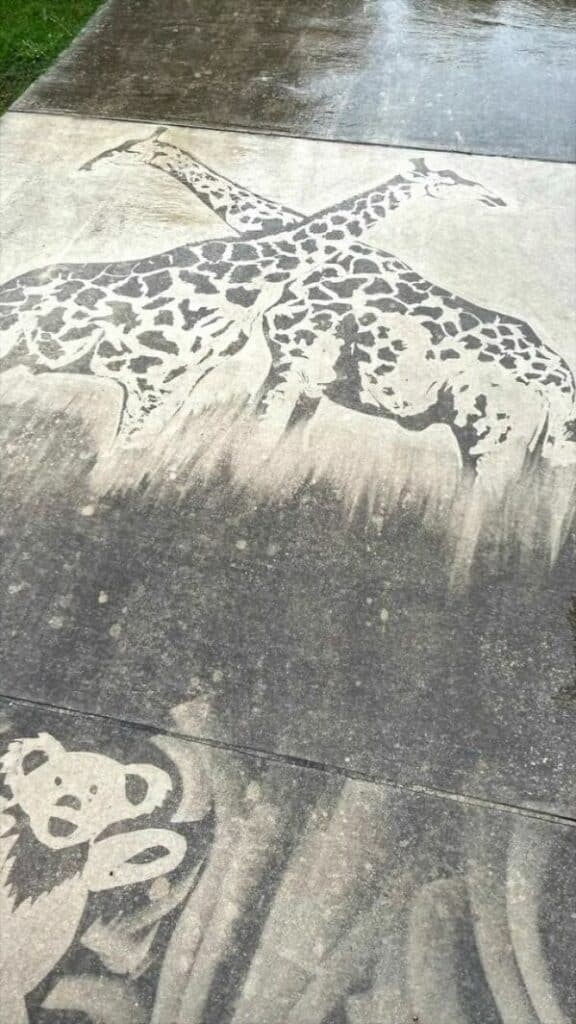 40+ Incredible "Pressure Washer" Artworks Featuring Famous Faces ...