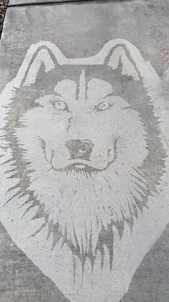 40+ Incredible "Pressure Washer" Artworks Featuring Famous Faces ...