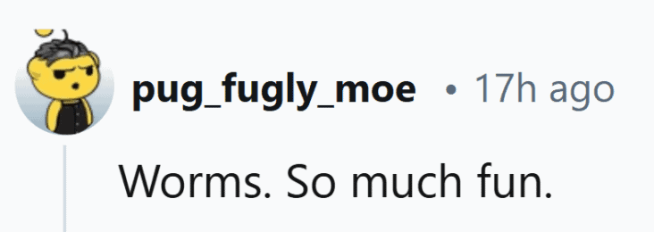 27 Nostalgic Computer Games From The 90s Retro Gamers Reminisce About ...